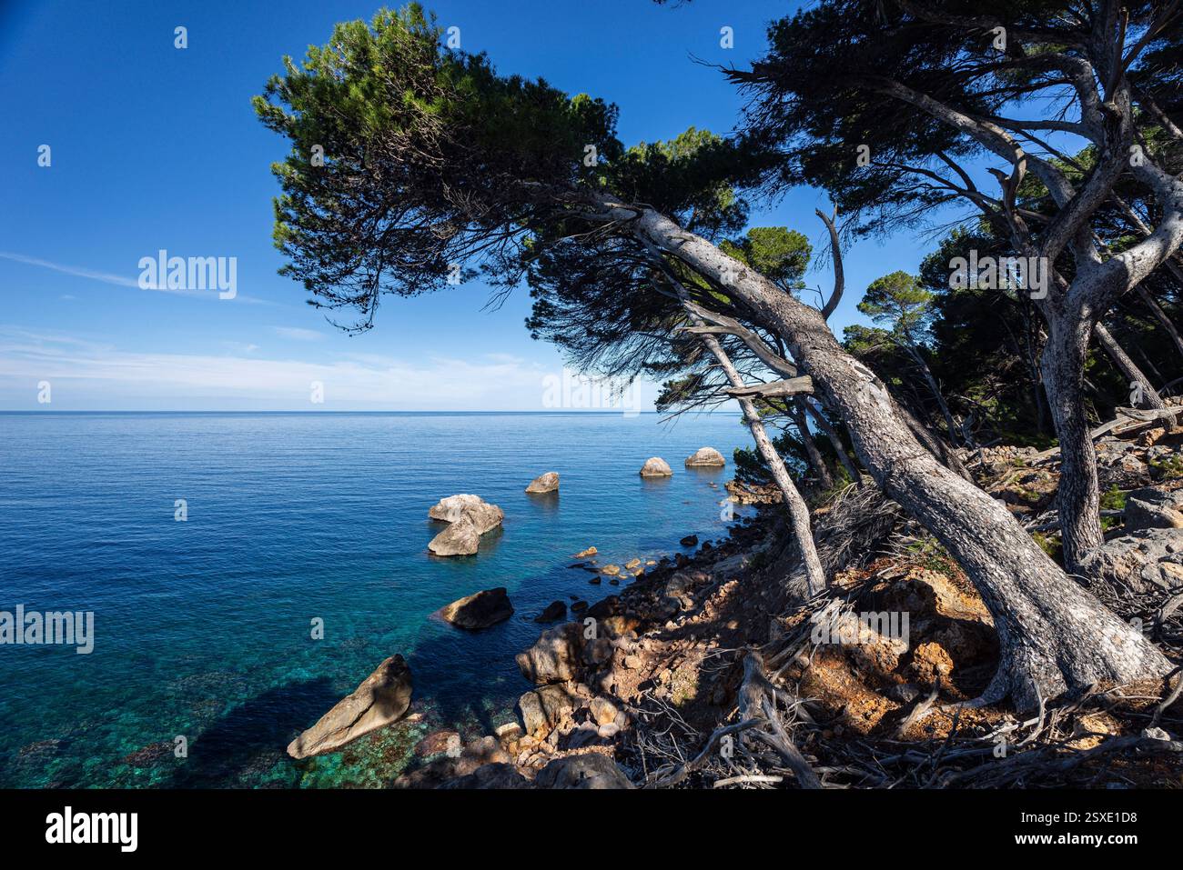 coast with reefs and islets, Llucalcari, Deia, Natural area of the ...