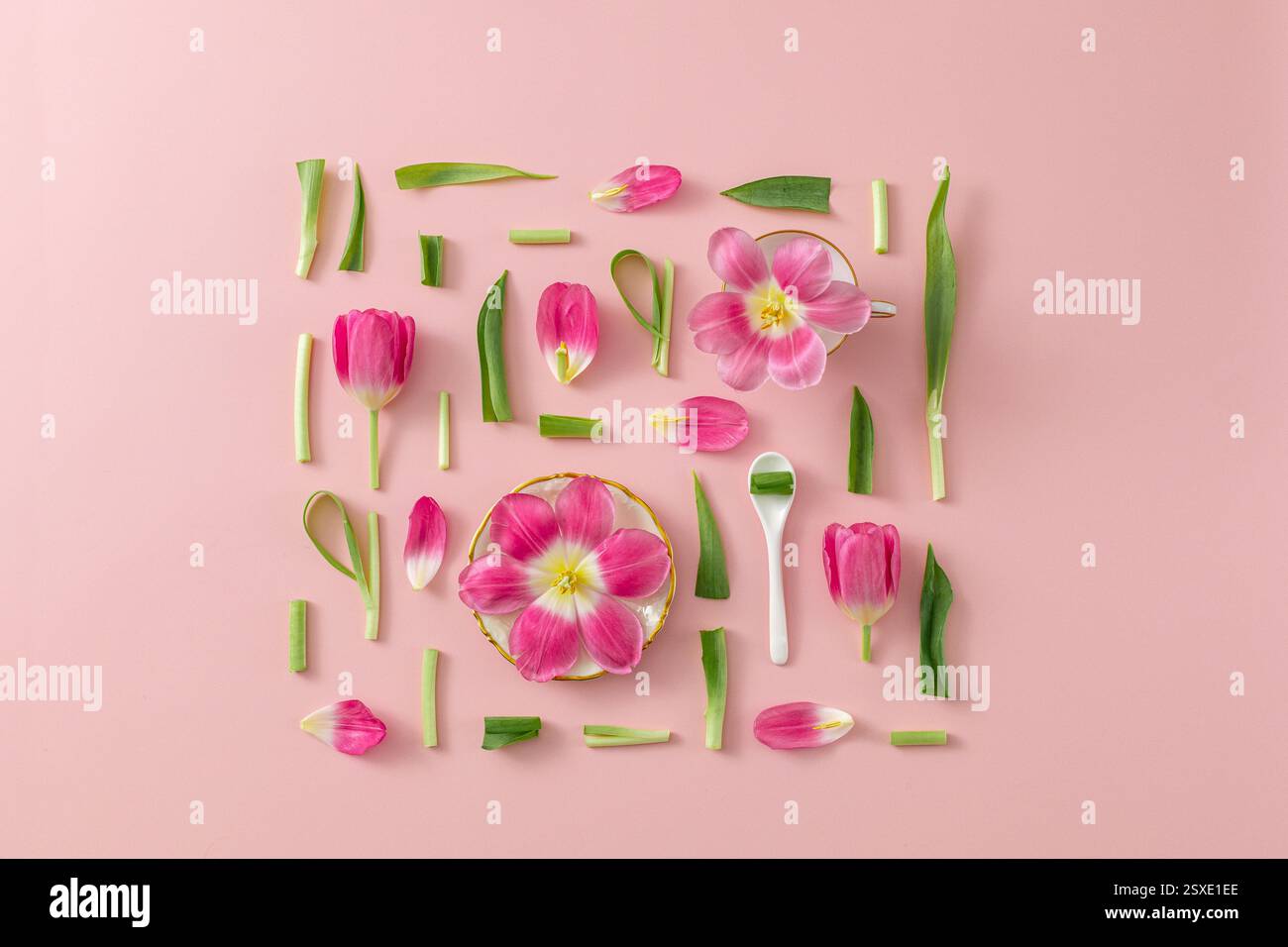 Spring still life with tulips and kitchen utensils Stock Photo - Alamy