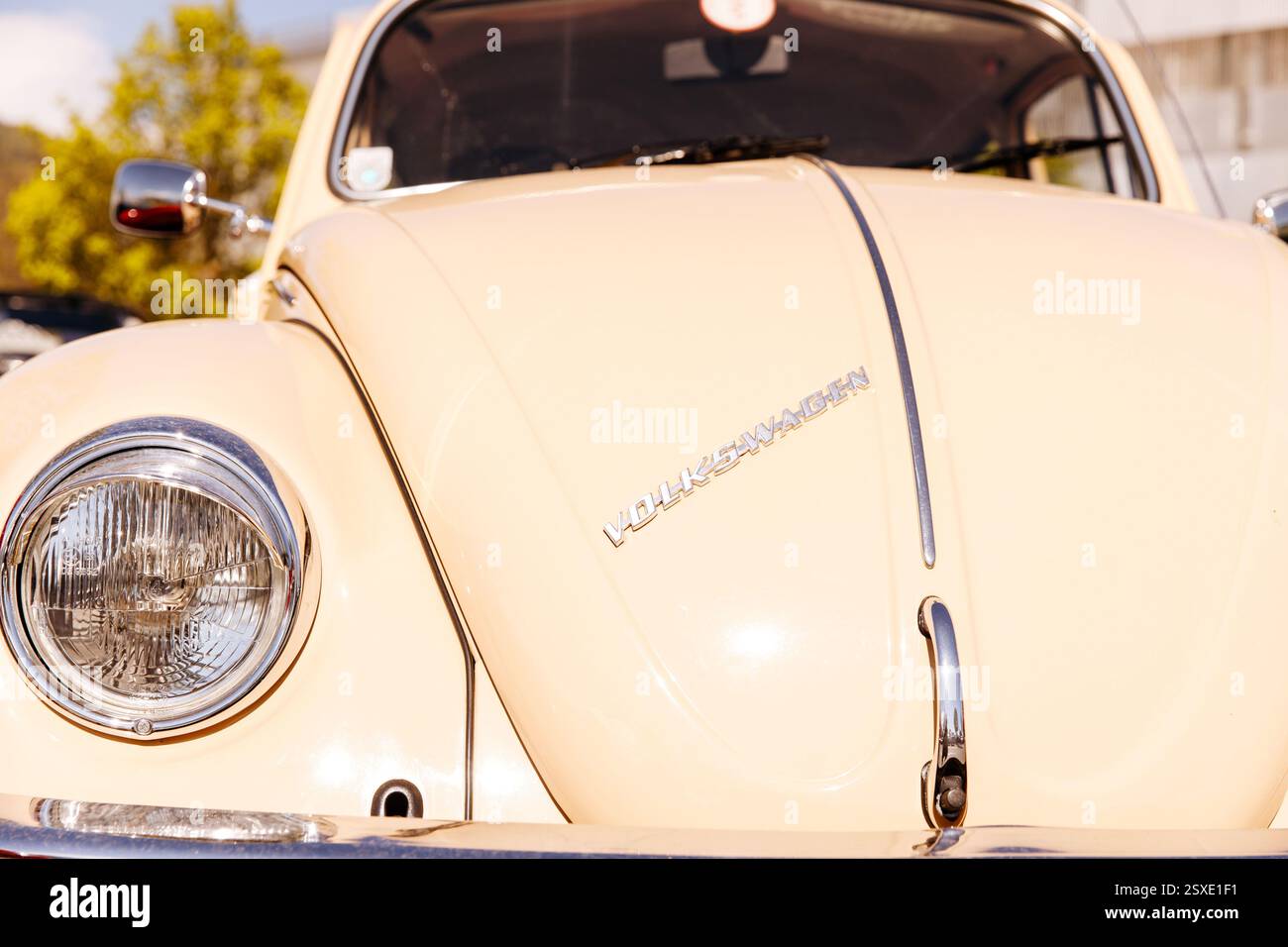 Vintage volkswagen beetle front view on sunny day Stock Photo - Alamy