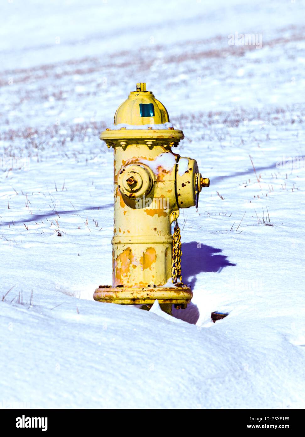 Yellow fire hydrant in the snow Stock Photo - Alamy