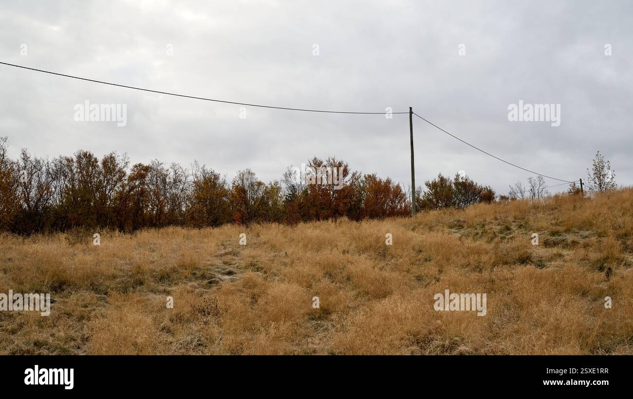 Power lines crossing over a dry grassy hill in autumn Stock Photo - Alamy