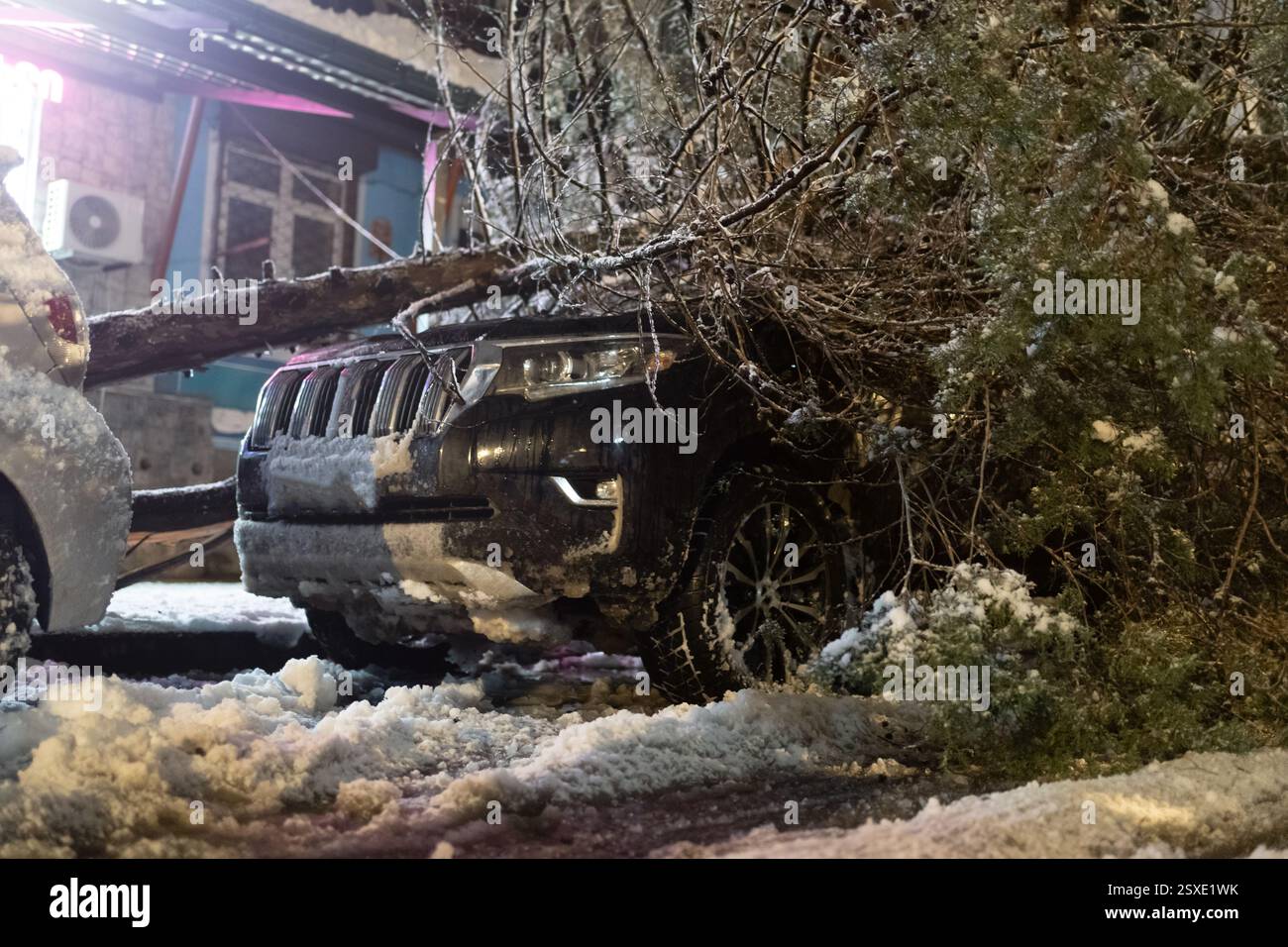 Major winter damage as massive tree collapses over SUV, highlighting ...