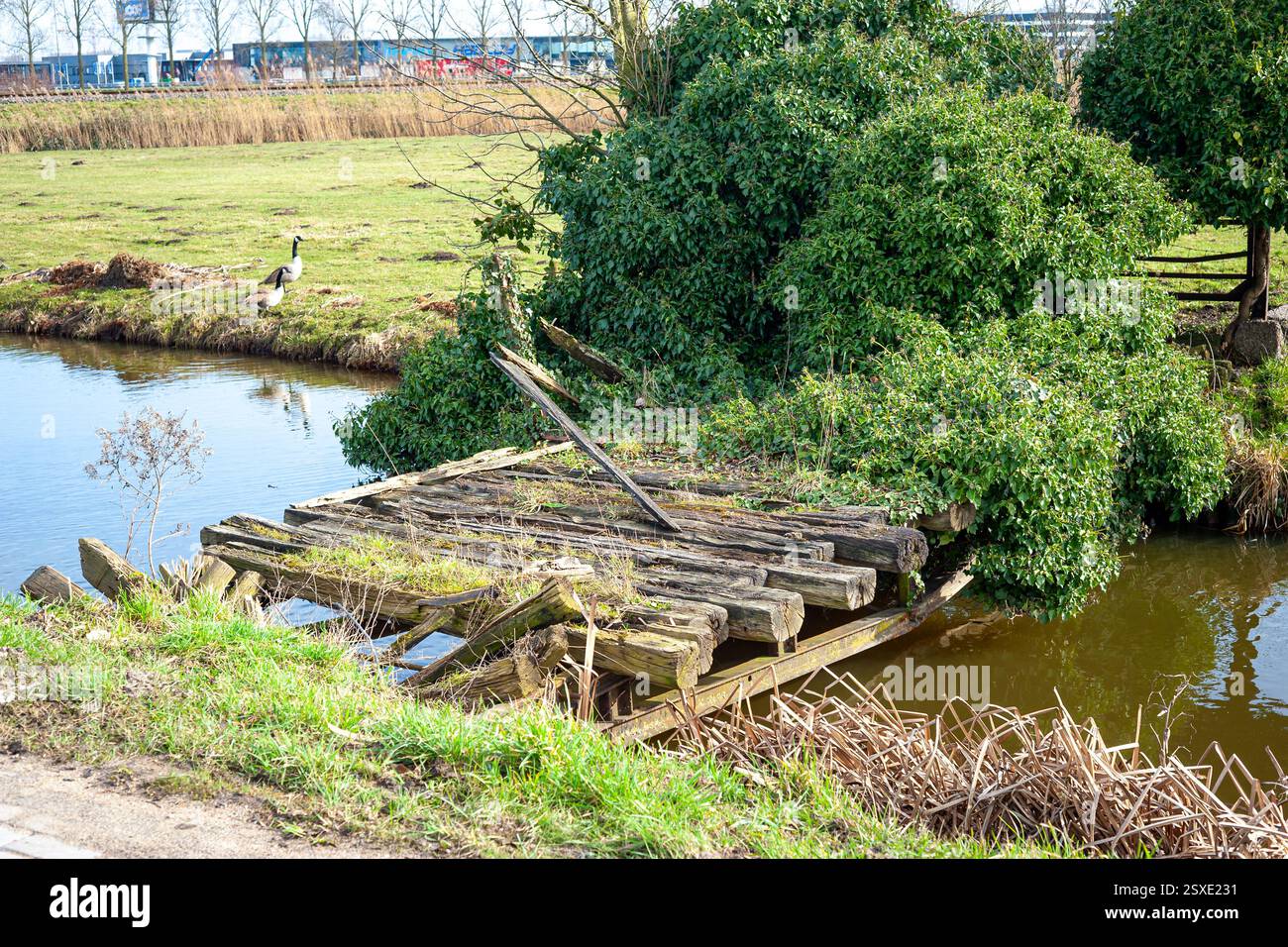 Rotten bridge hi-res stock photography and images - Alamy