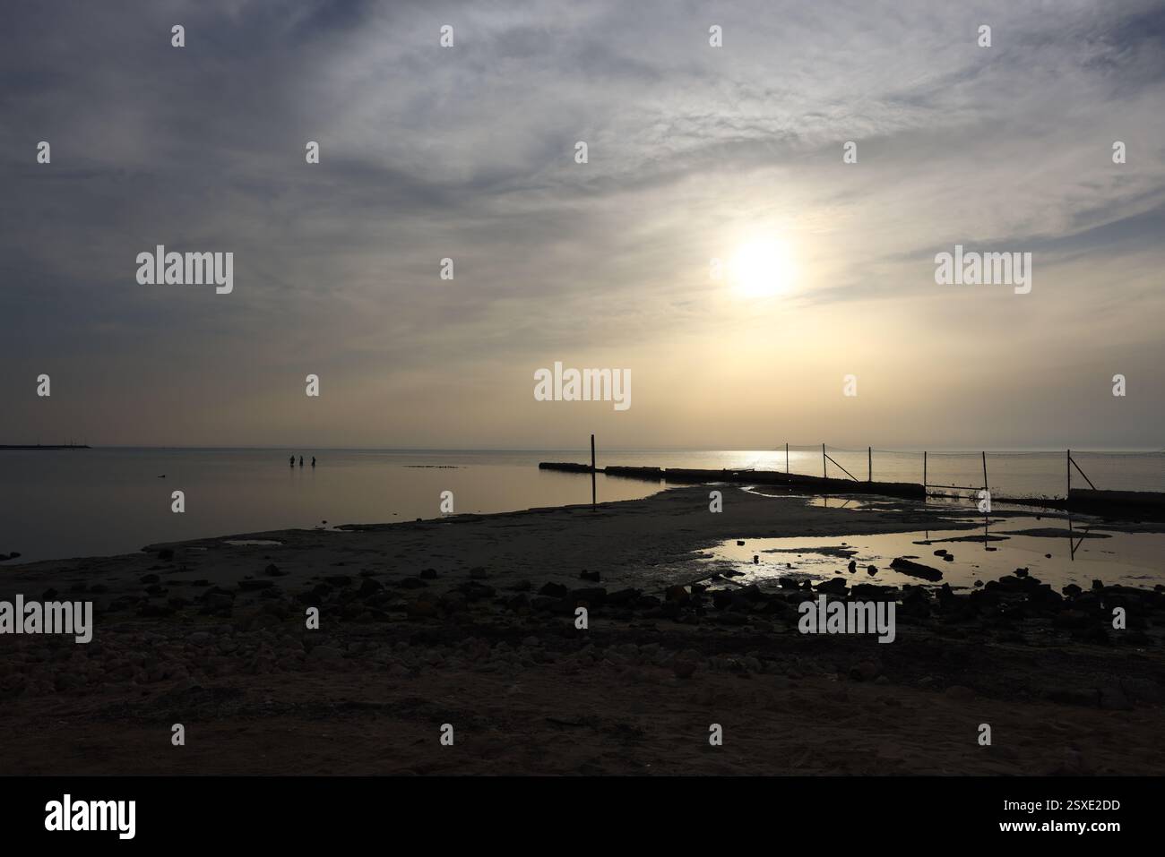 Umm Bab Beach - Palm Tree Beach Doha Qatar 24-02-2025 Stock Photo - Alamy