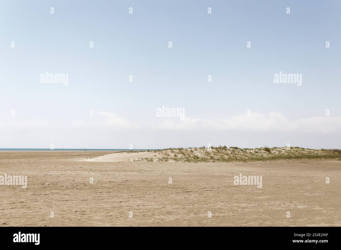 Exploring beautiful coastal dunes serene hi-res stock photography and ...