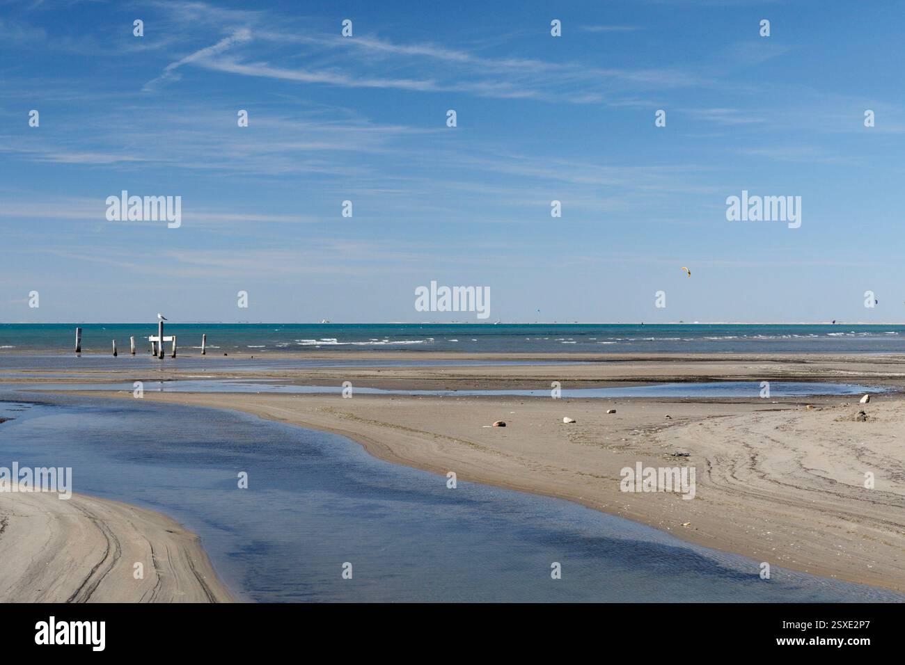 Beach with small salt water lakes in the Camargue, France Stock Photo ...