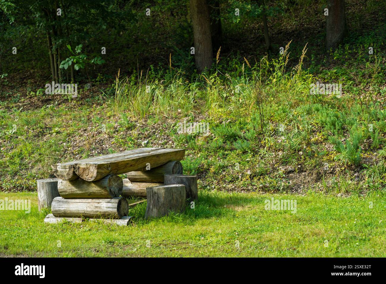 Rustic wooden picnic table in nature surrounded by greenery Stock Photo ...