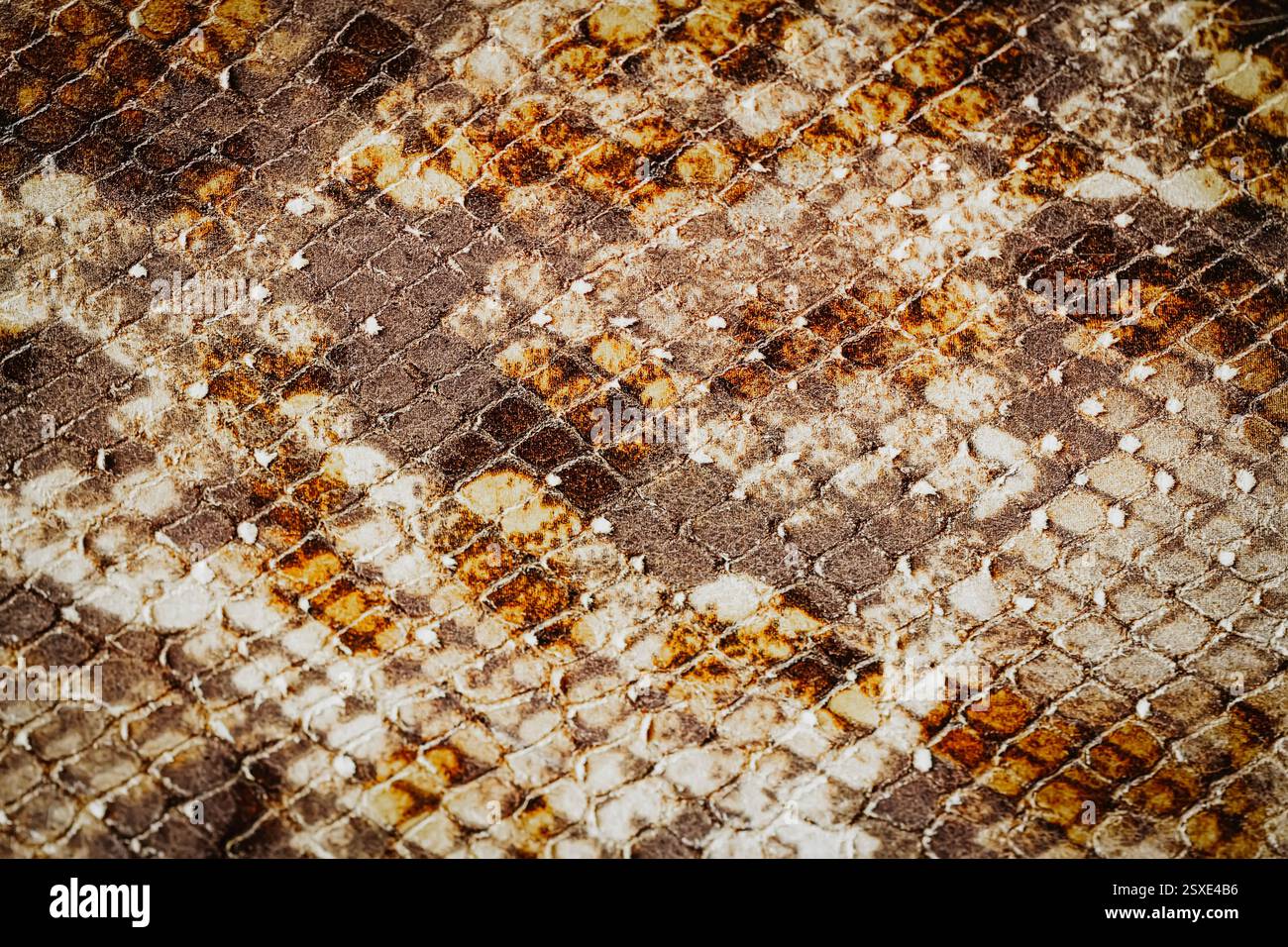 Brown and beige snake skin texture with a natural scale pattern and ...