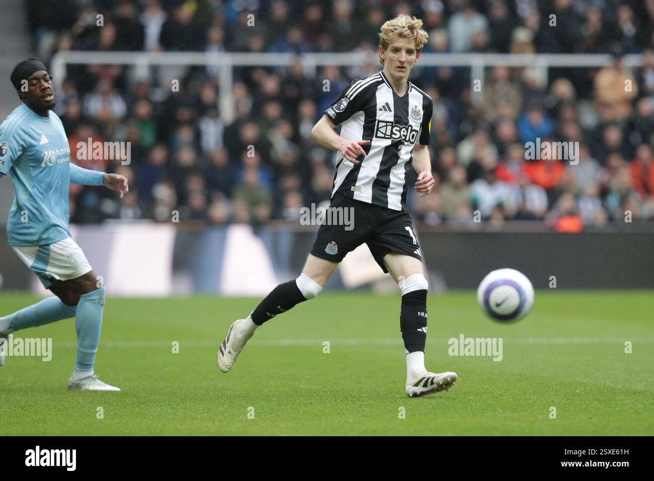 Anthony Gordon of Newcastle United - Newcastle United v Nottingham ...