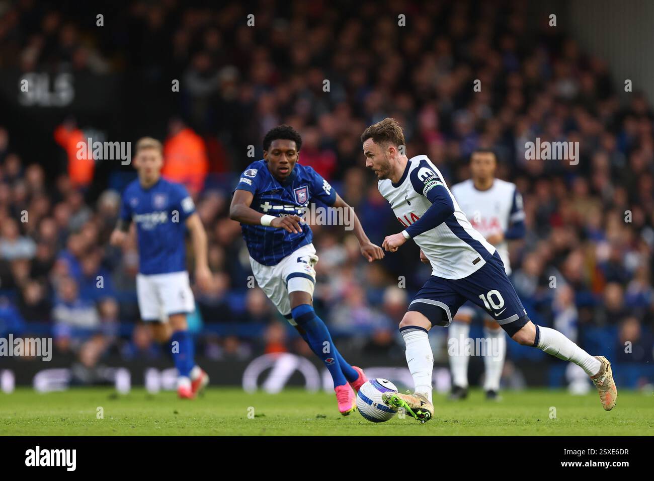 James Maddison of Tottenham Hotspur and Jaden Philogene of Ipswich Town ...