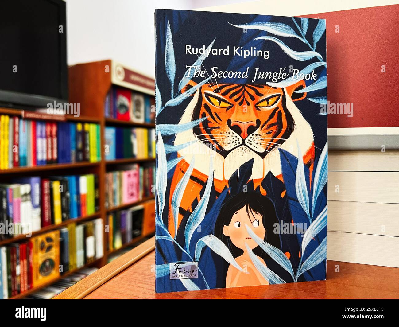 Lviv, Ukraine - February 20, 2025: Illustrated book cover featuring a ...