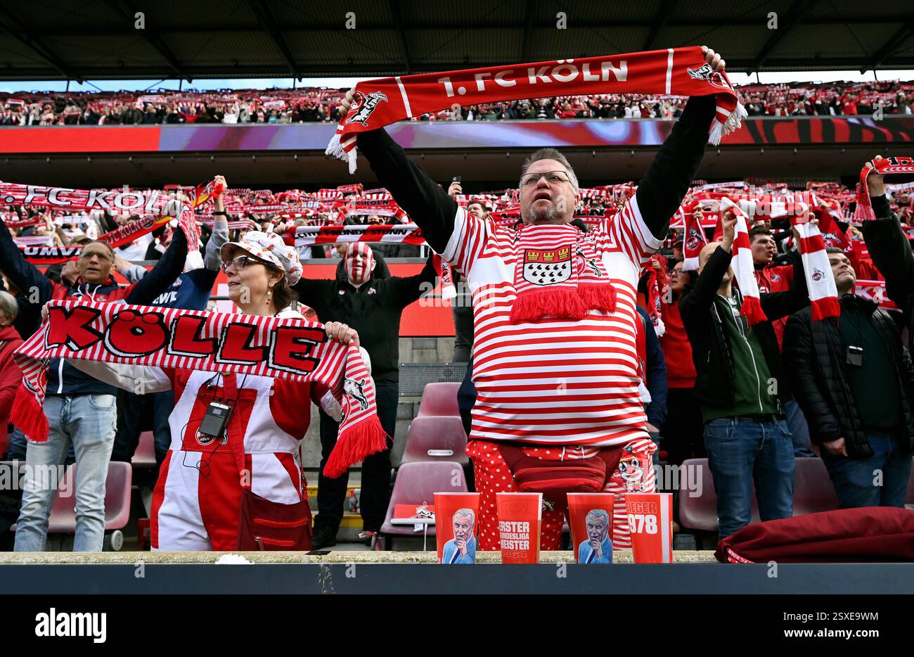1 fc koeln vs fortuna duesseldorf hi-res stock photography and images ...