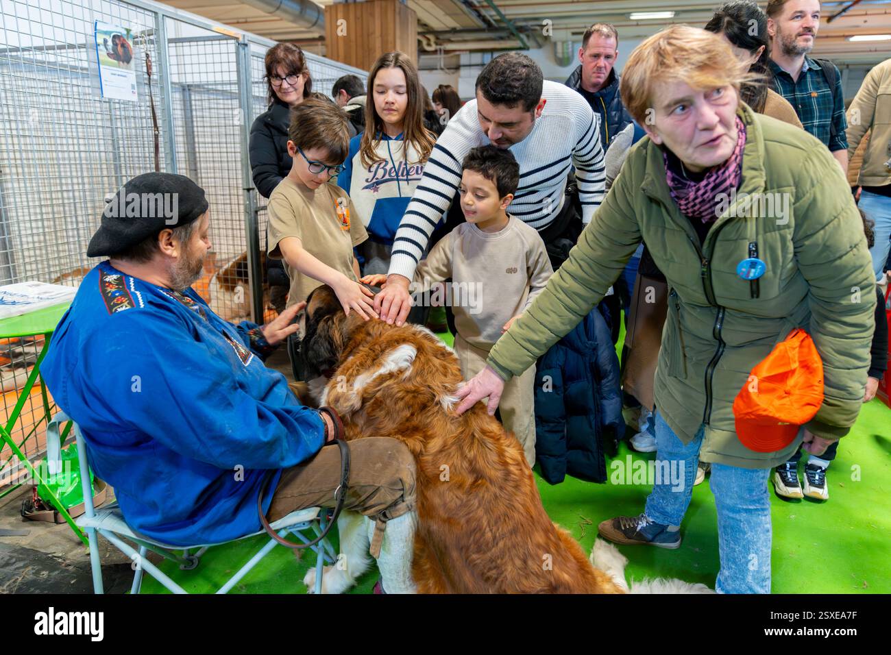 Saint Bernard dog with visitors during 61st International Agricultural ...