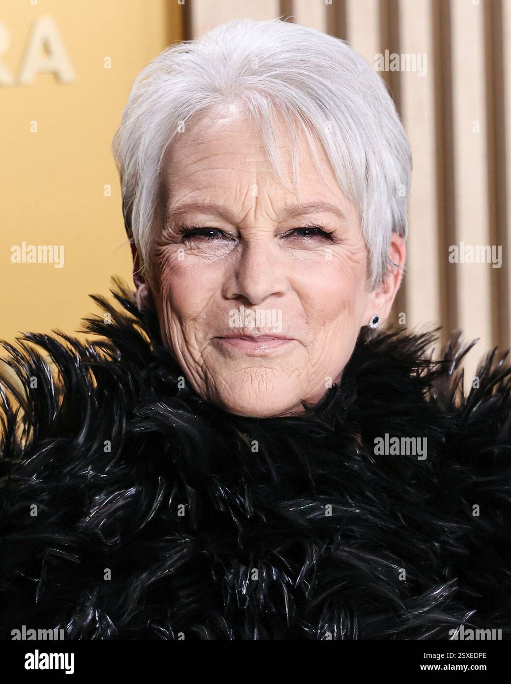 LOS ANGELES, CALIFORNIA, USA - FEBRUARY 23: Jamie Lee Curtis wearing a ...