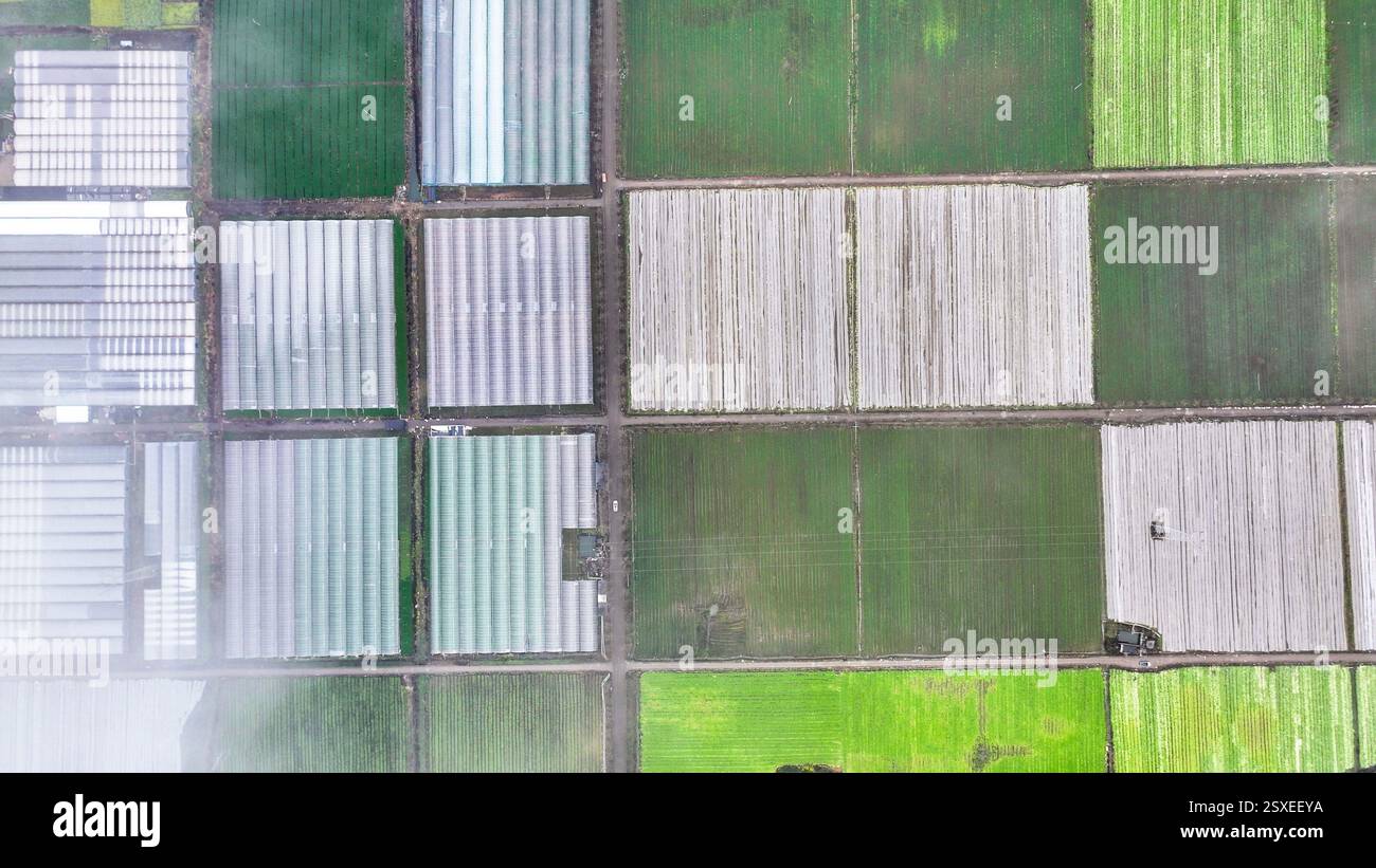 An aerial view of a vegetables plantation in Anlong county in southwest ...