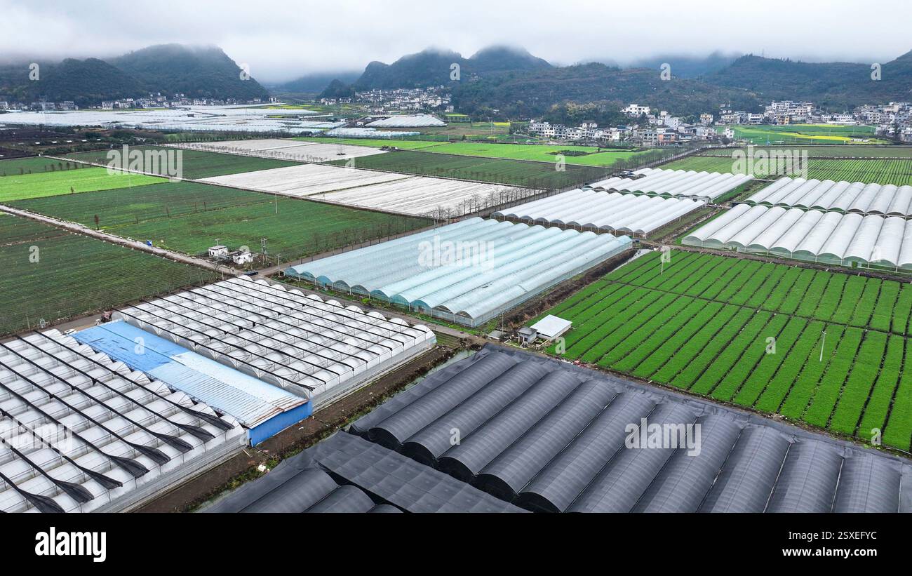An aerial view of a vegetables plantation in Anlong county in southwest ...