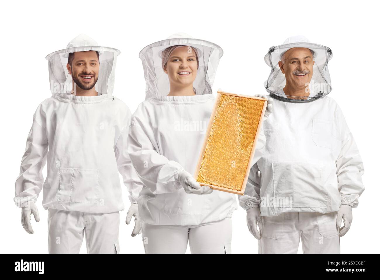 Group of bee keepers with a honeycomb frame isolated on white ...