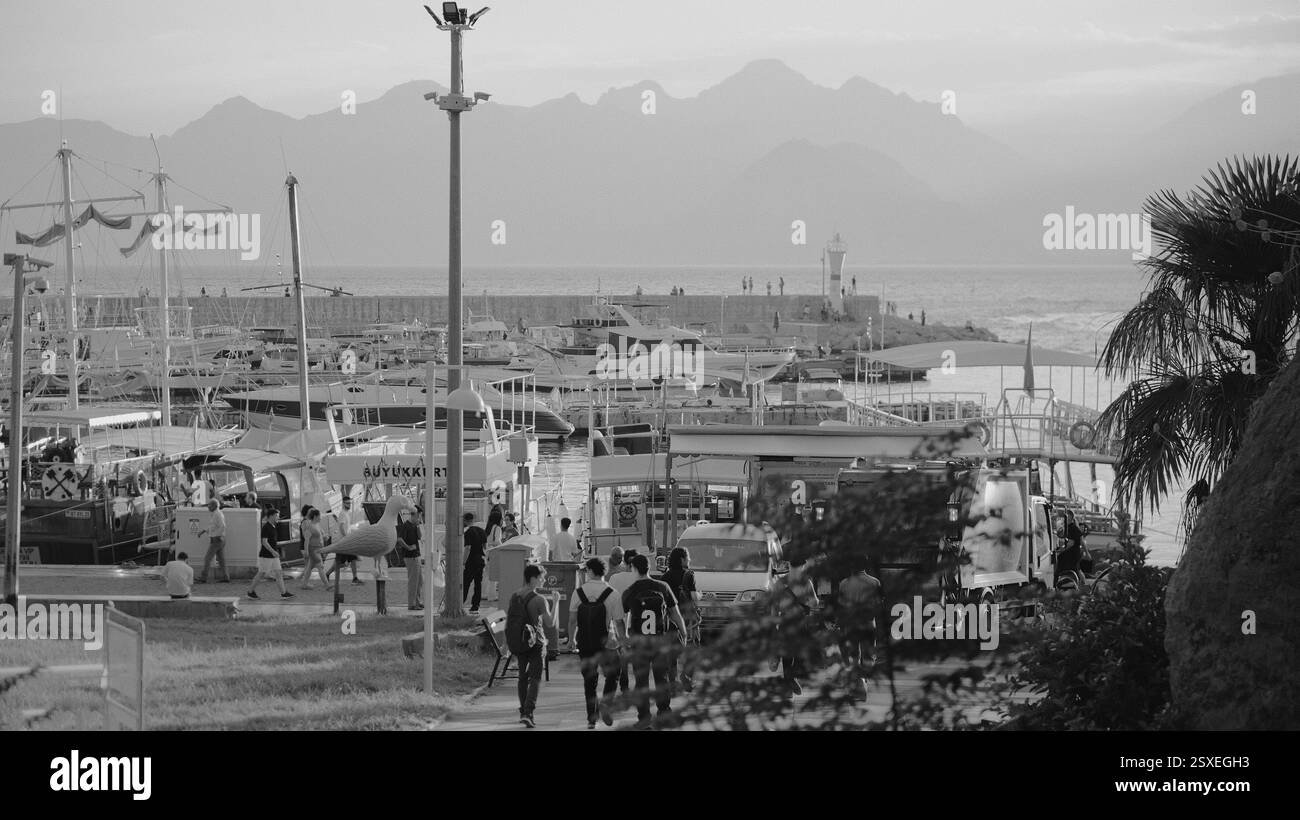 Relaxed golden Black and White Stock Photos & Images - Alamy