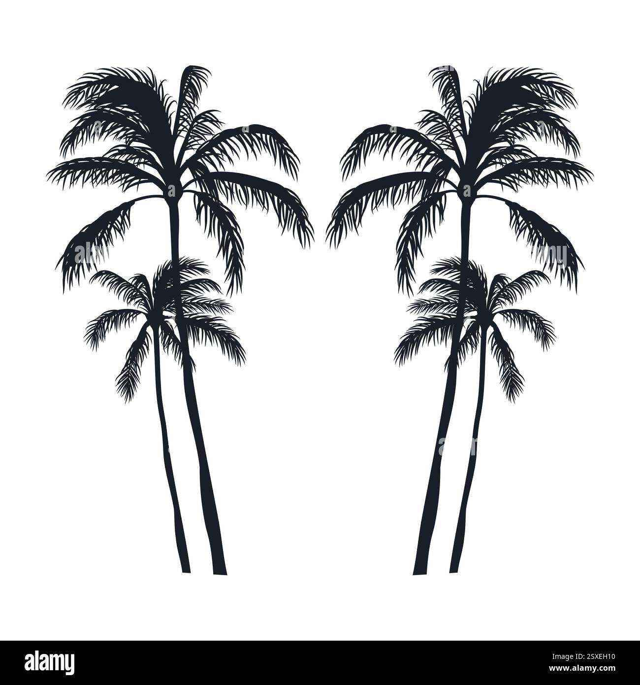 Coconut tree vector silhouette. Editable, resizable, vector ...