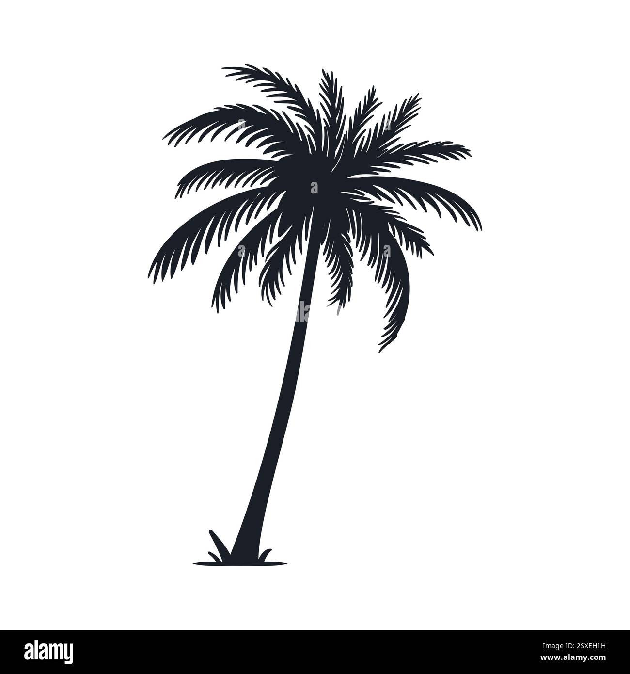Coconut tree vector silhouette. Editable, resizable, vector ...