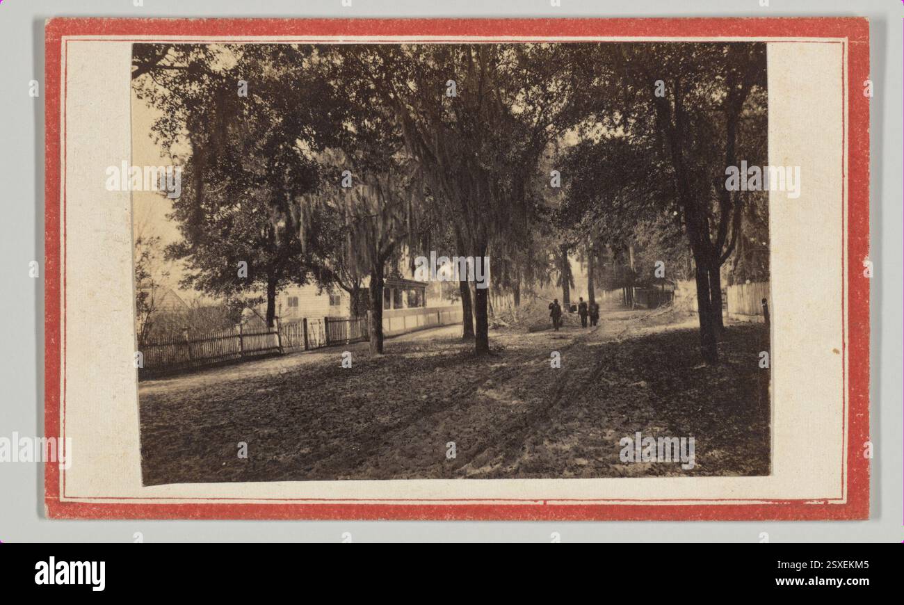 This albumen silver print from 1864 captures a scene in Jacksonville ...