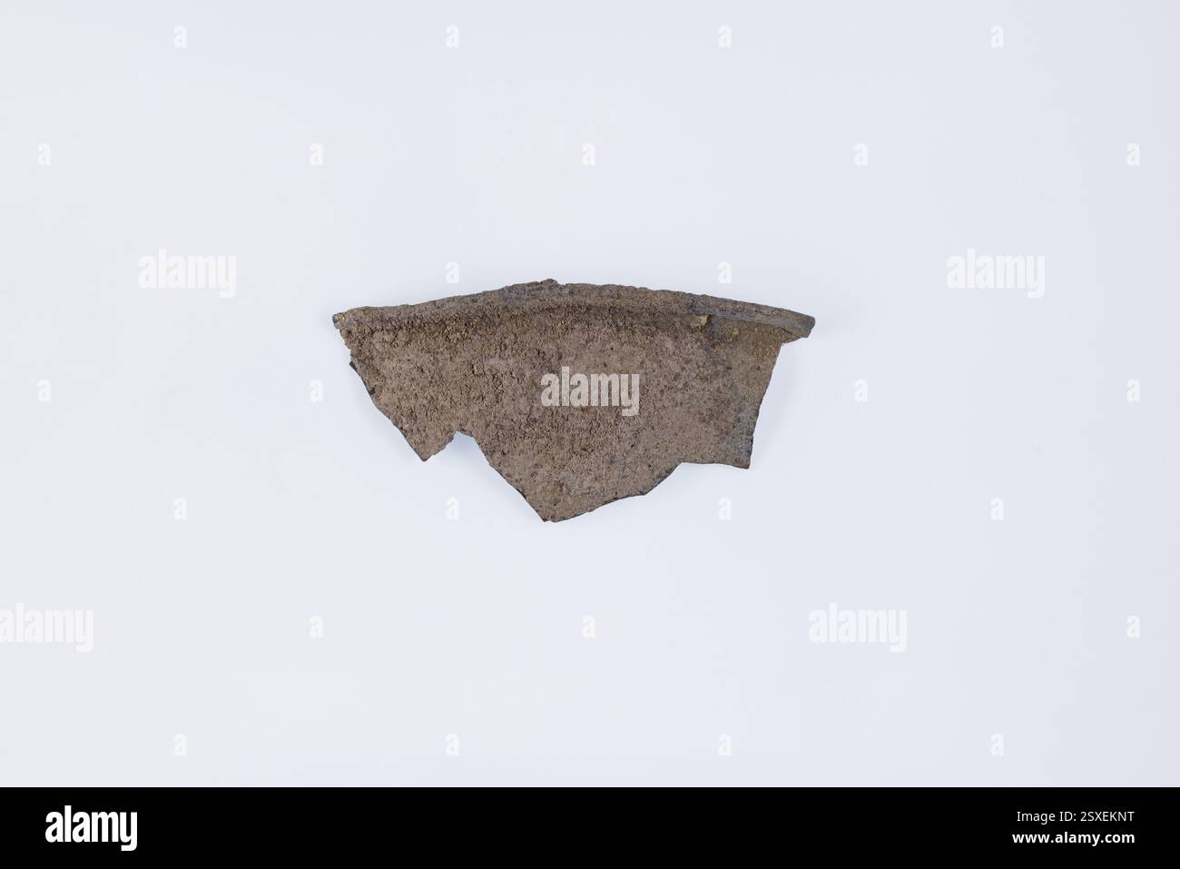 Bowl fragment from the New Kingdom, Ramesside, ca. 1295–1070 B.C. This ...