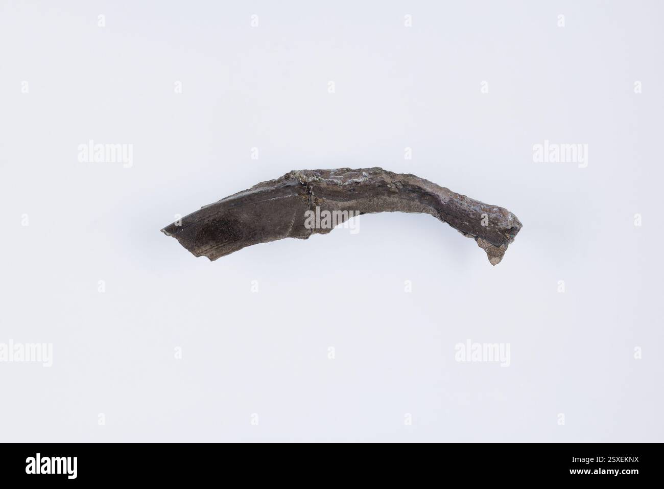 Rim fragment from the Third Intermediate Period, ca. 1070–712 B.C ...