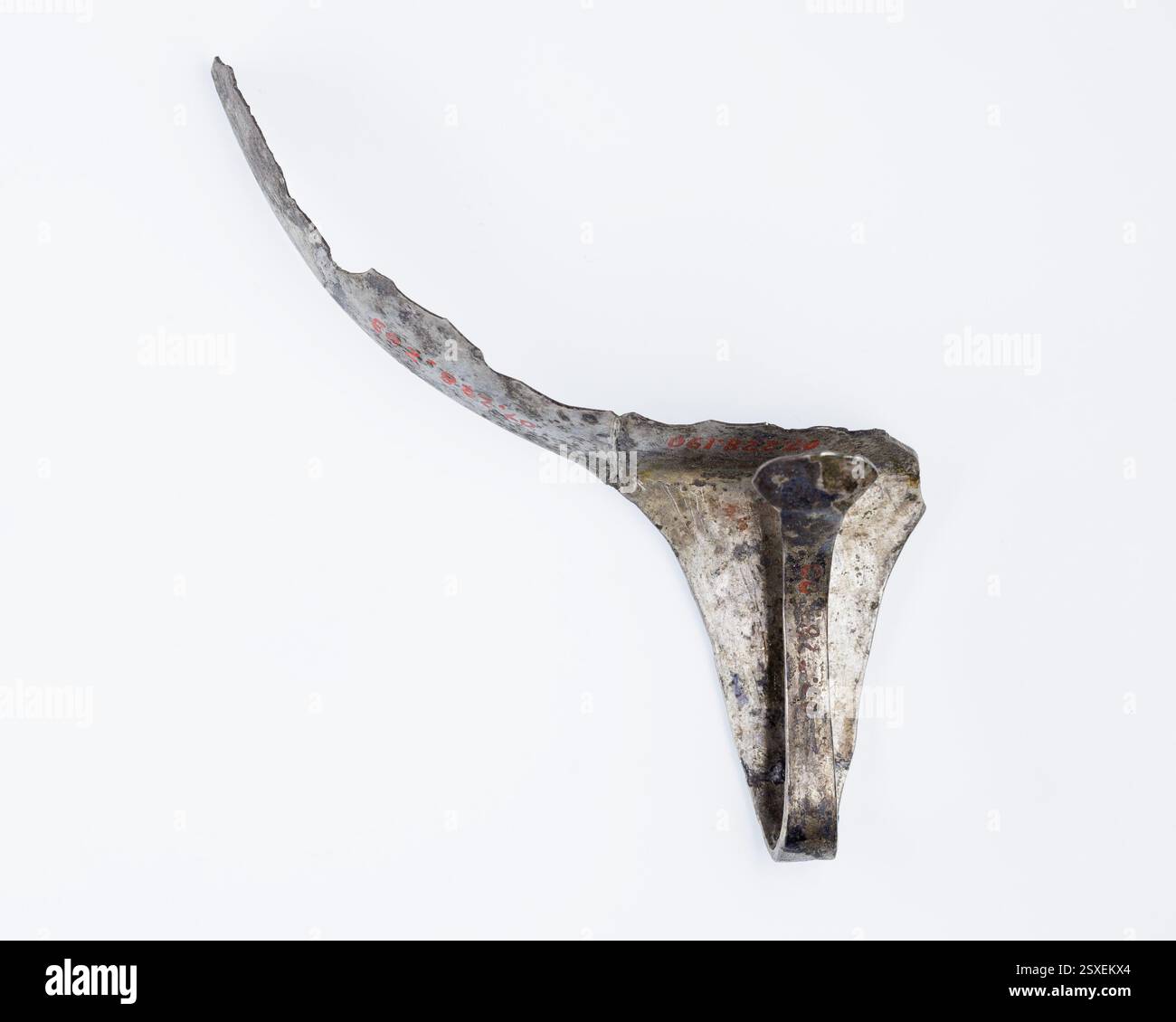 Rim fragment with lotus handle from a shallow strainer, New Kingdom ...