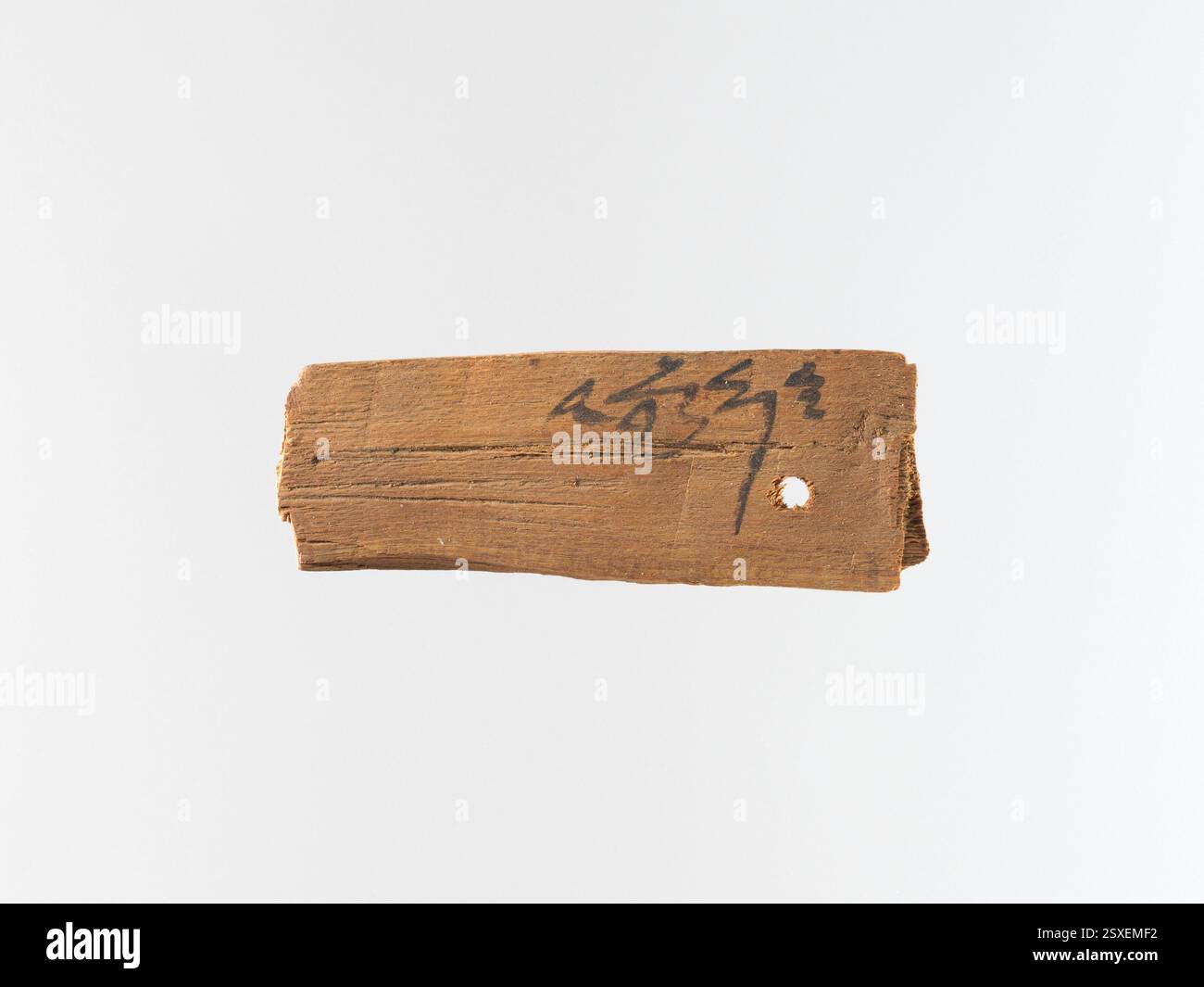 Mummy label from the Third Intermediate Period–Late Period, Egypt, ca ...