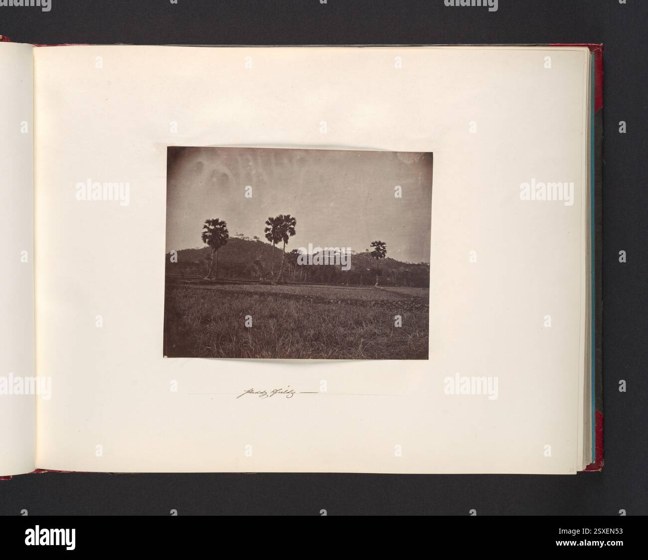 This 1865 photograph by John Thomson captures paddy fields in Southeast ...