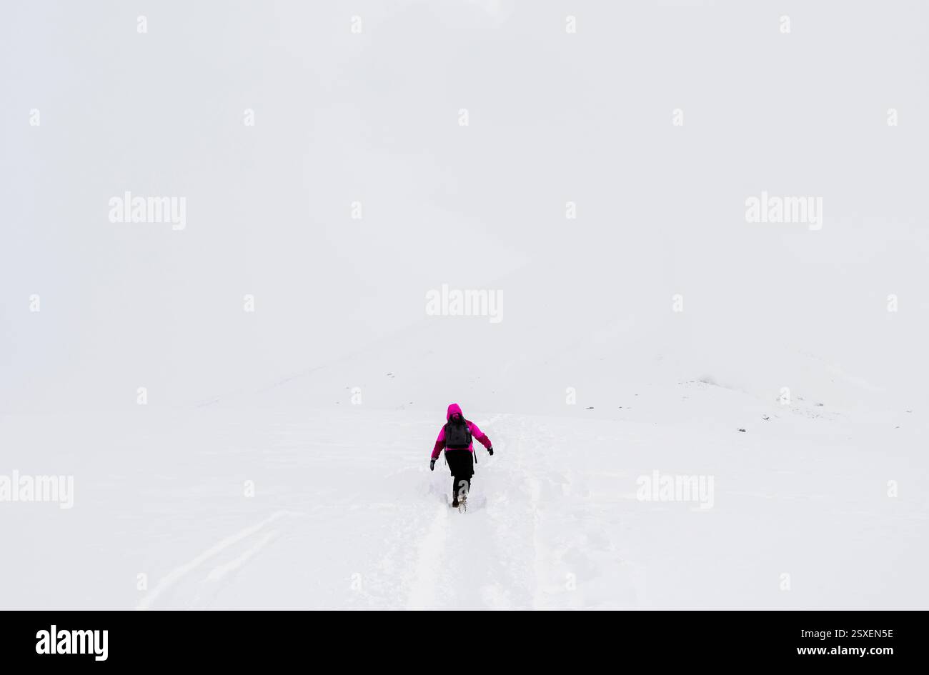 Whiteout survival hi-res stock photography and images - Alamy