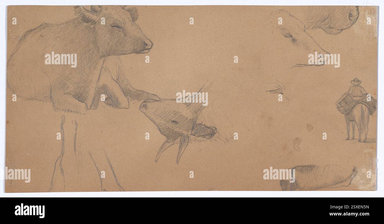 A drawing by American artist Elihu Vedder depicting a donkey, cow, and ...