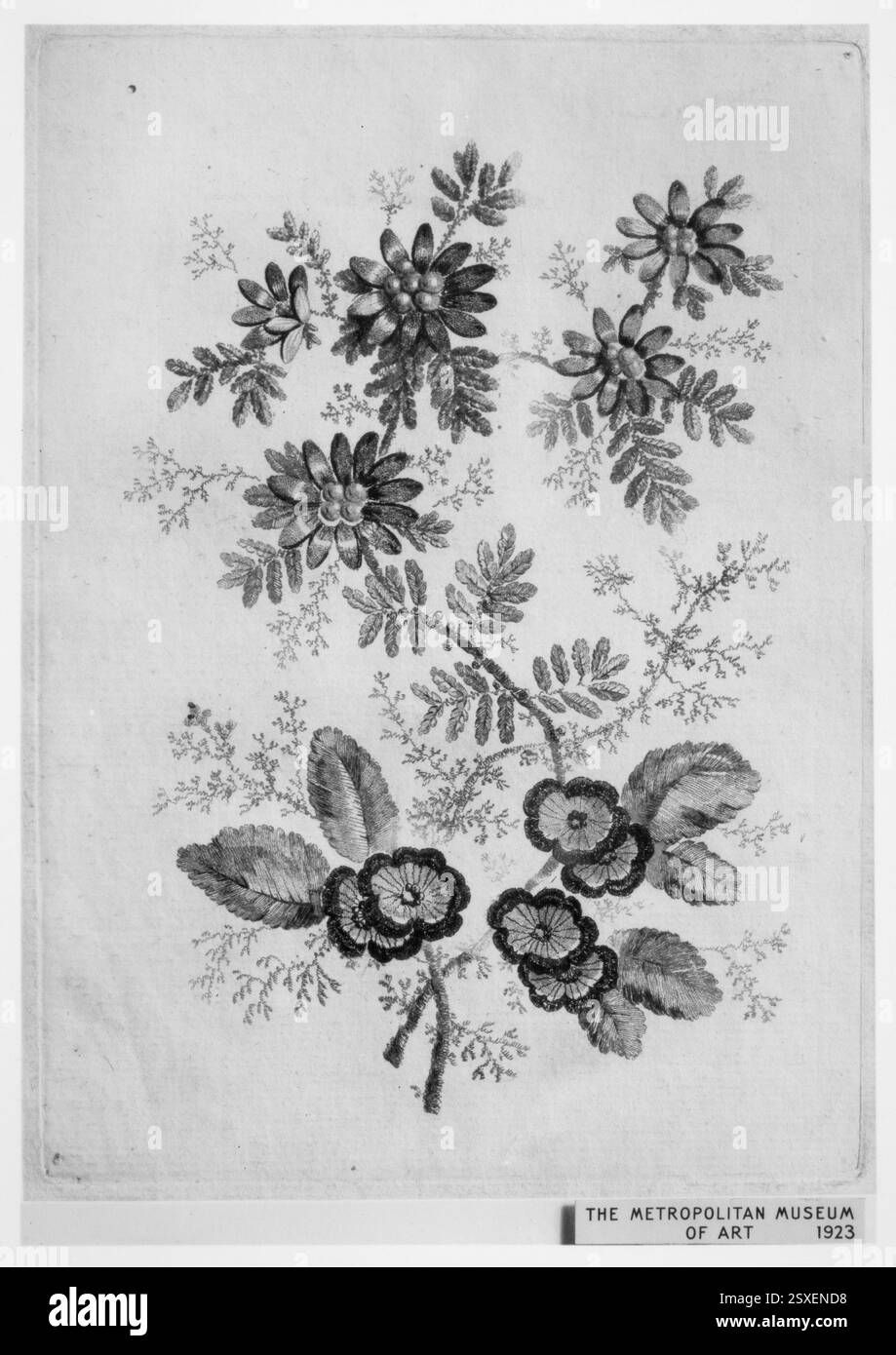 Flowers, from 'Nouvelle Suite de Cahiers de Fleurs ideales,' Jean ...
