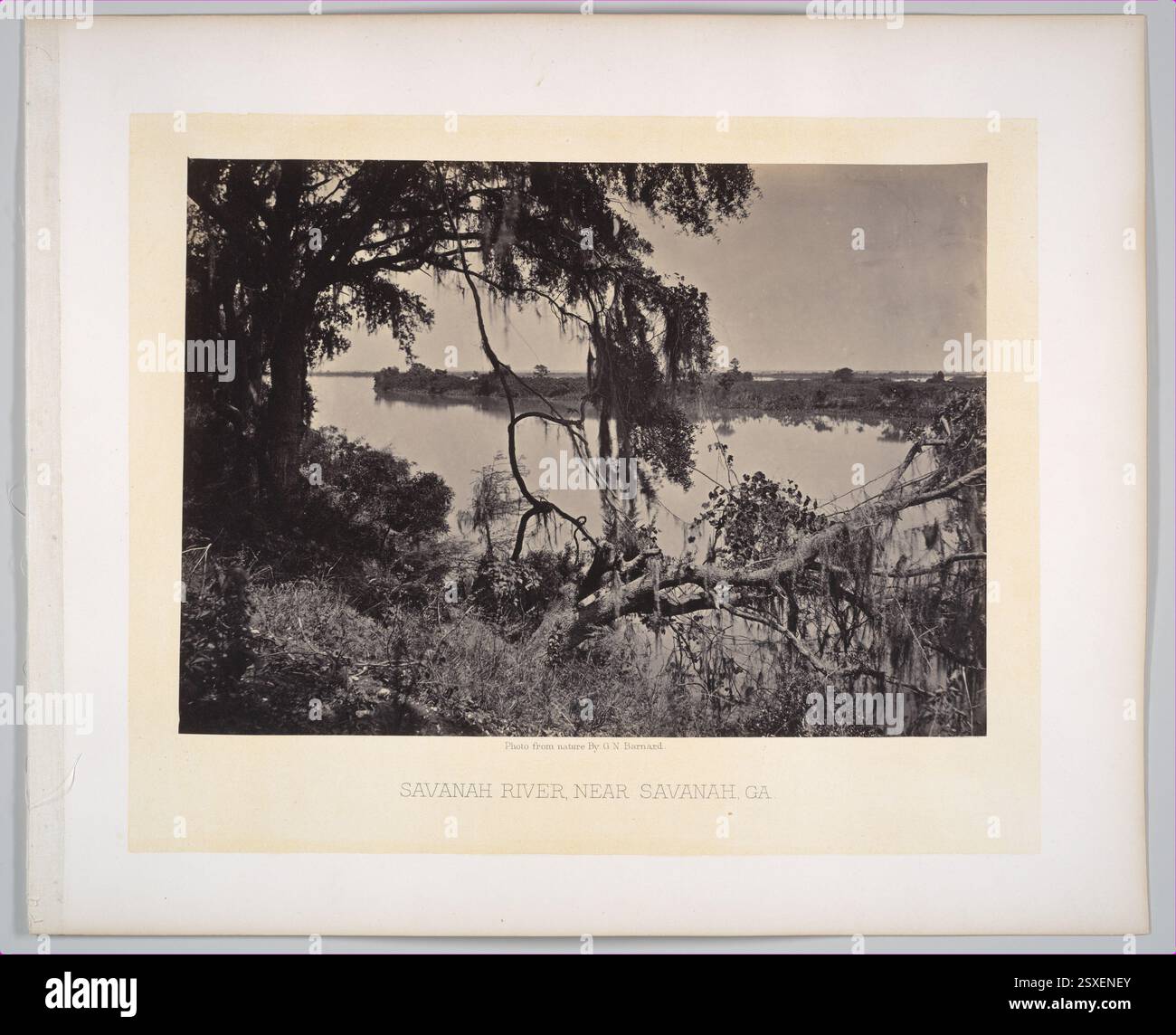Photograph of the Savannah River near Savannah, Georgia, taken by ...