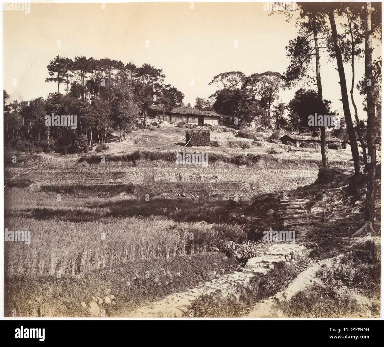 This photograph, attributed to John Thomson, depicts a teahouse in ...