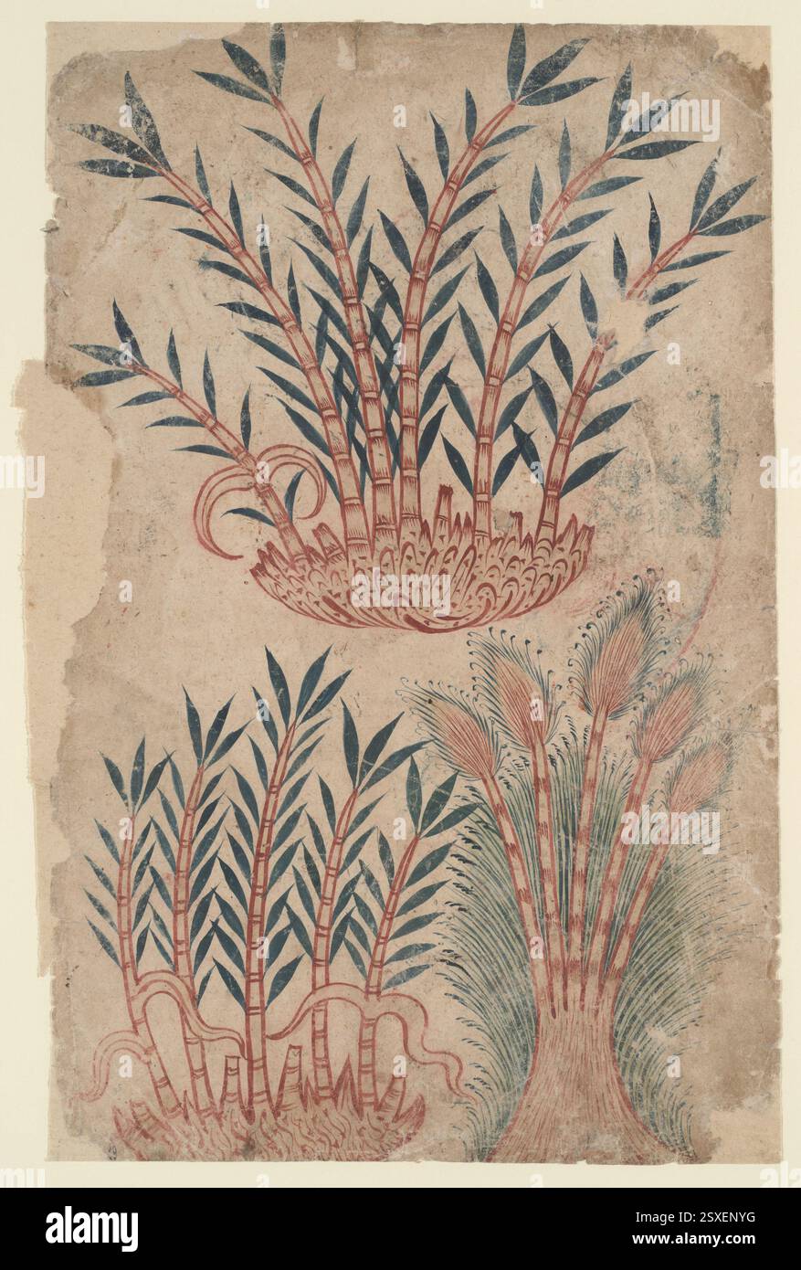 This painting from a Persian-language manuscript of De Materia Medica ...