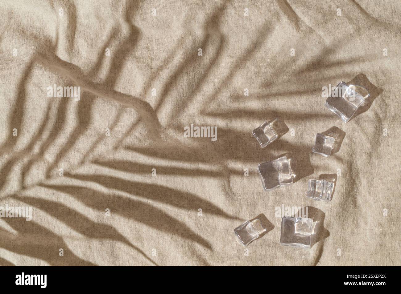 Summer day scene with ice cubes and tropical palm leaves shadow on blue ...