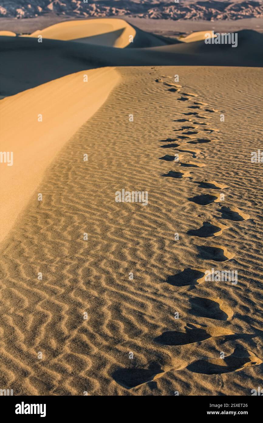 Sandy desert with a line of footprints. The footprints are in the sand ...