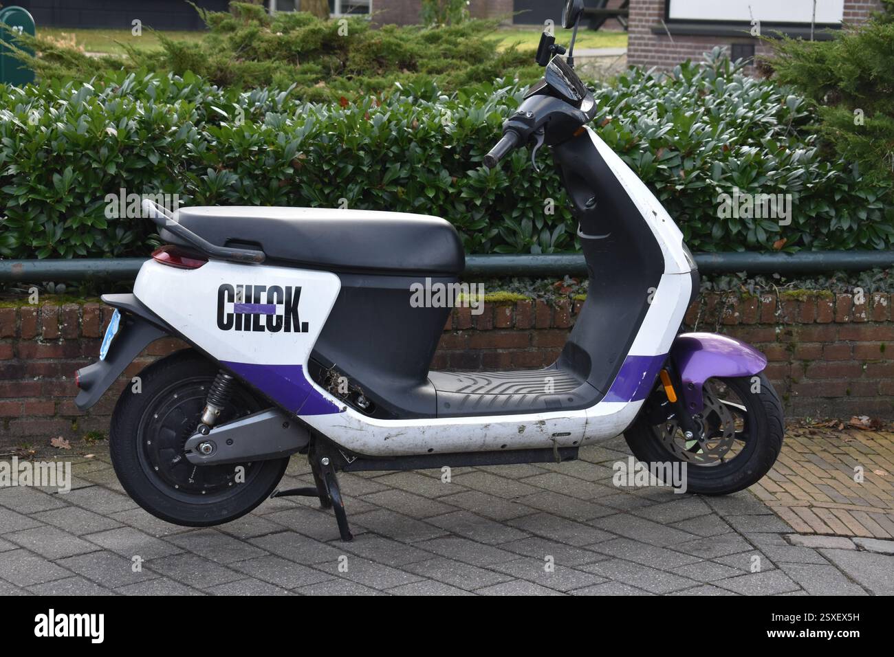 Scooter bike rental company hi-res stock photography and images - Alamy