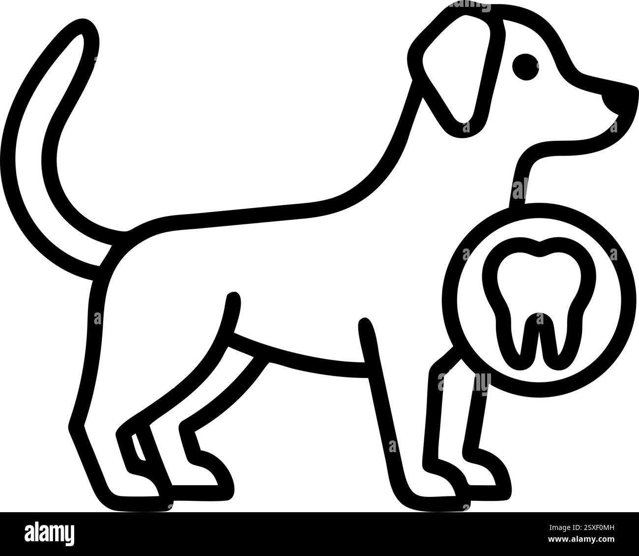 Pet Dental Dog Check Icon Stock Vector Image & Art - Alamy