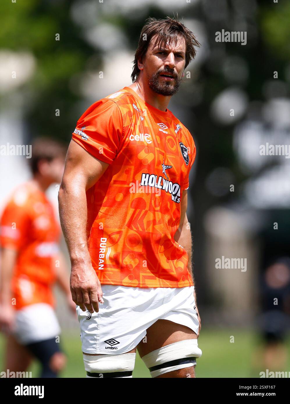 Eben Etzebeth of the Hollywoodbets Sharks during the Hollywoodbets ...