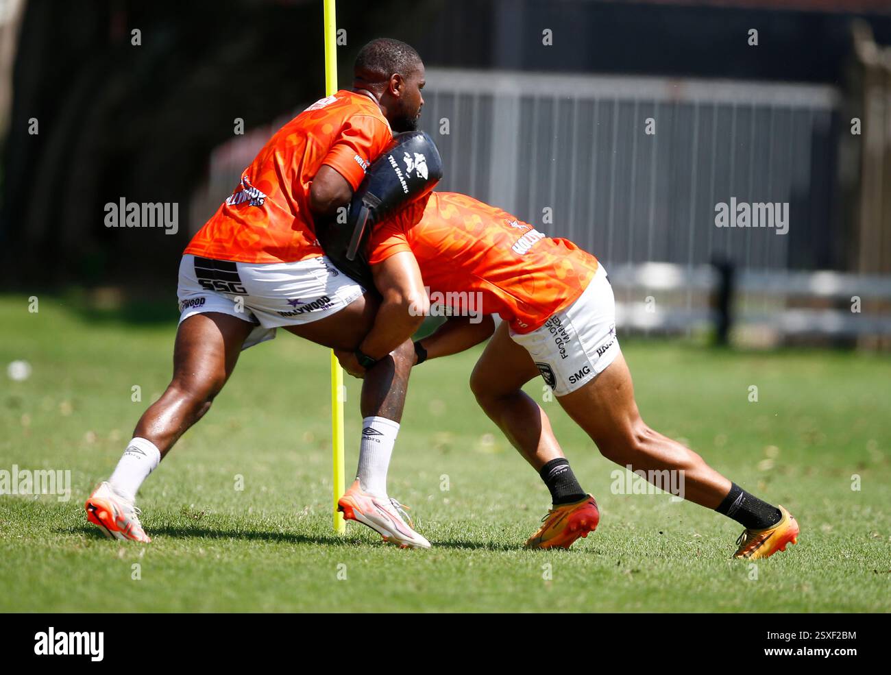 Siya Masuku of the Hollywoodbets Sharks and Jordan Hendrikse of the ...