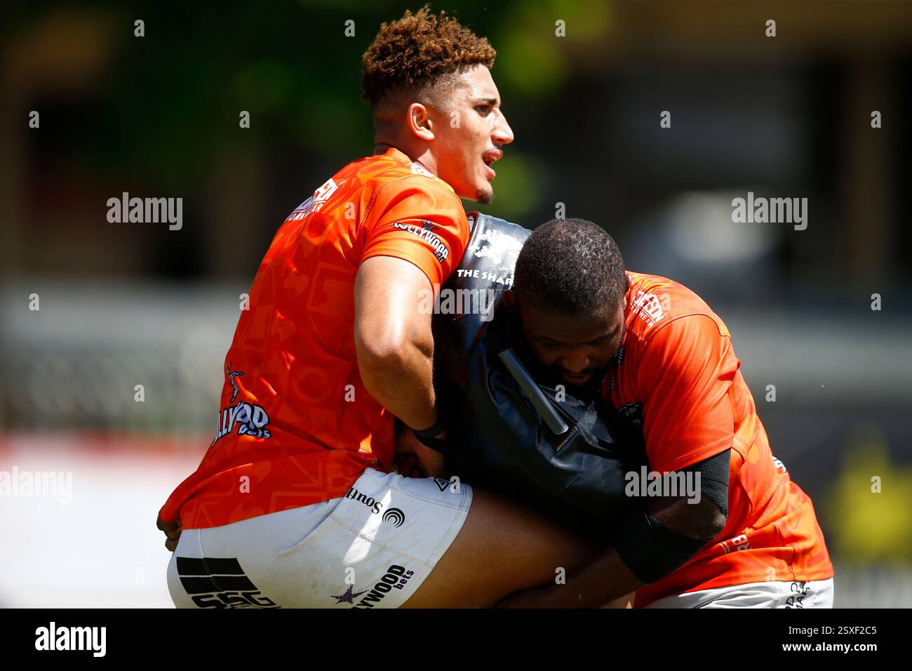 Jordan Hendrikse of the Hollywoodbets Sharks and Siya Masuku of the ...