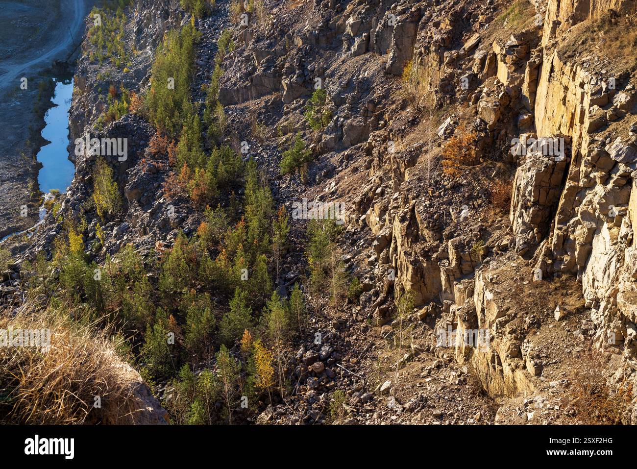 Rocky cliff with rough textures, golden sunlight, and sparse vegetation ...