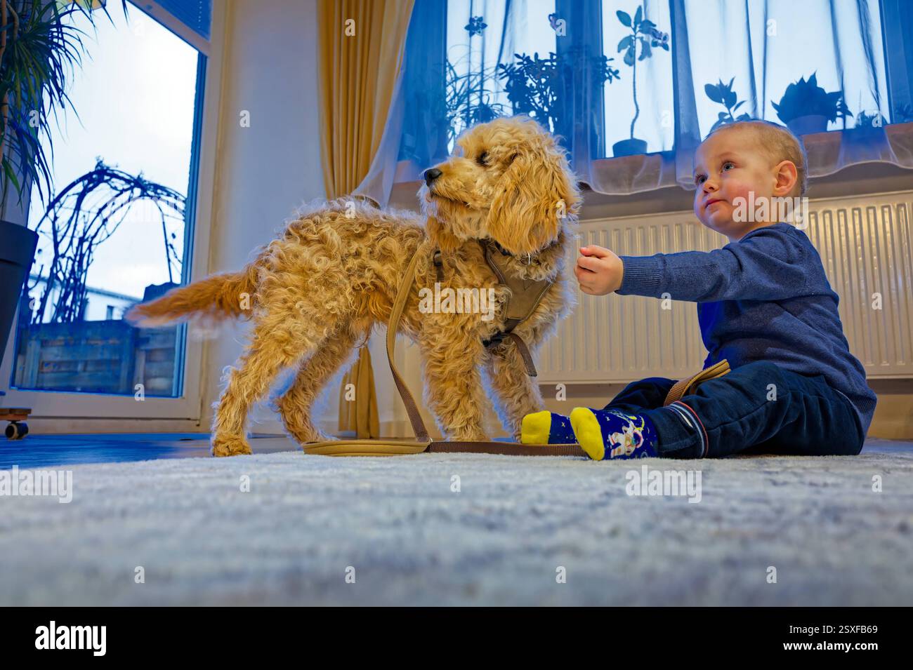 Zwei beste Freunde. Das kleine Junge spielt vertrauensvoll mit dem ...