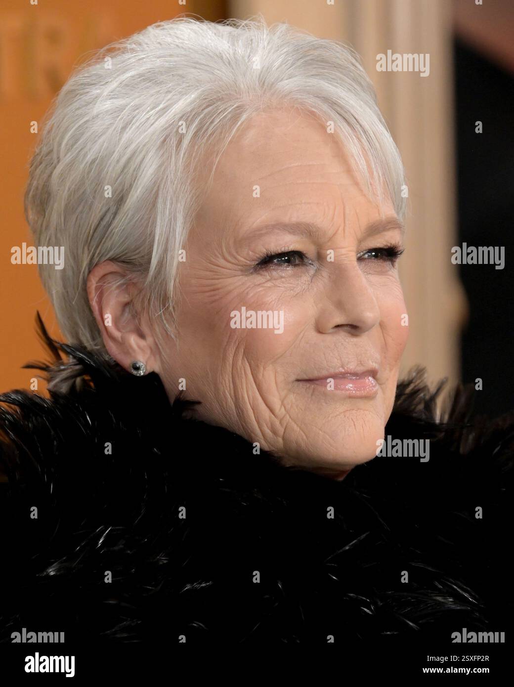 Ca. 23rd Feb, 2025. Jamie Lee Curtis at arrivals for The 31st Annual ...