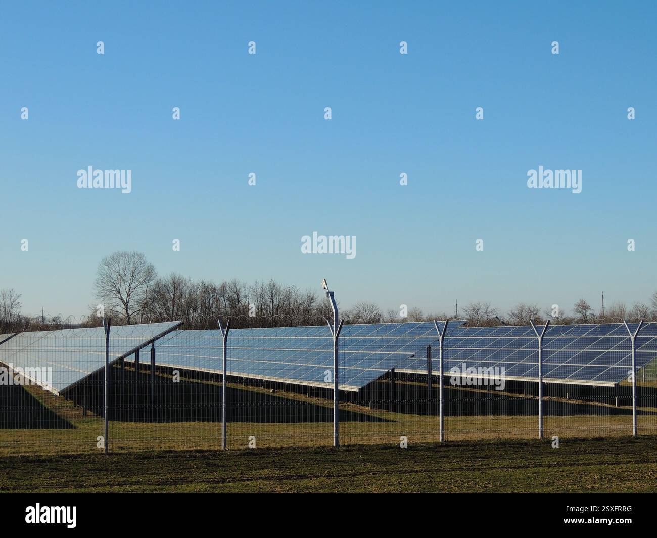 Rows of solar panels in a fenced area under a clear blue sky at a solar ...
