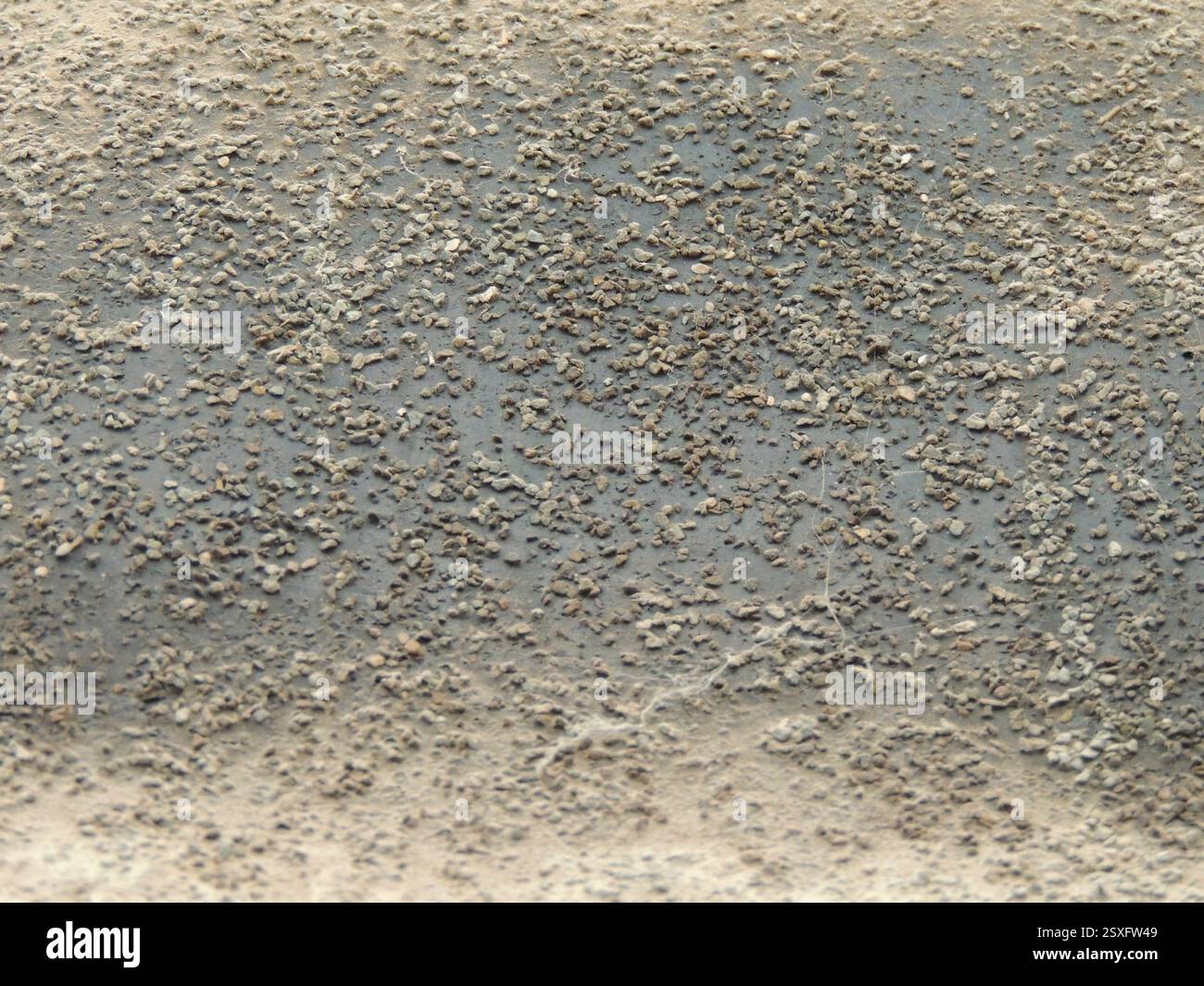 grey rough background with grains of matter on textured uneven dirty ...
