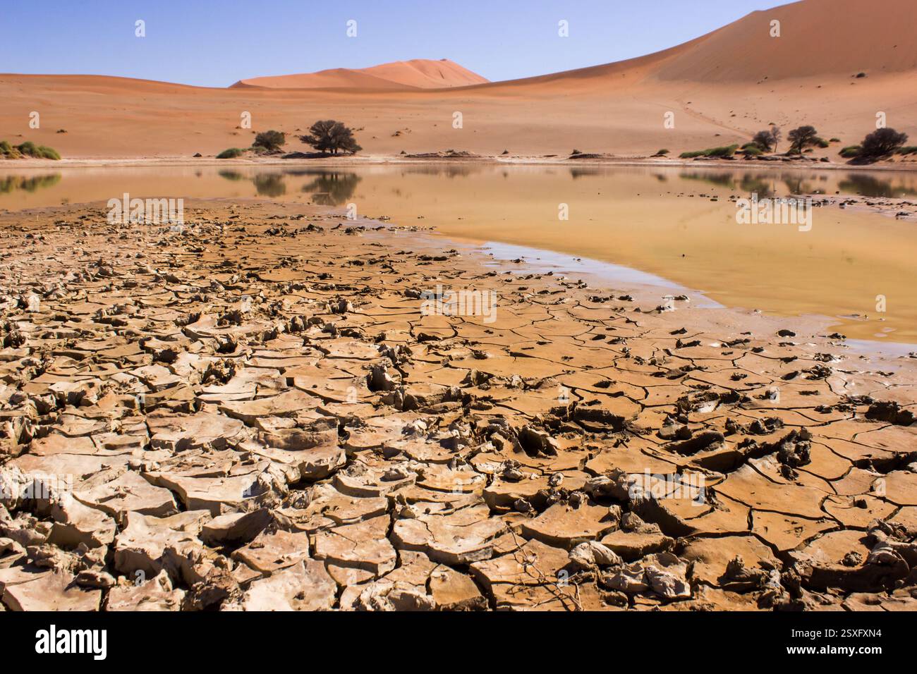 Mud cracks left behind from the rapidly drying desert oasis of ...