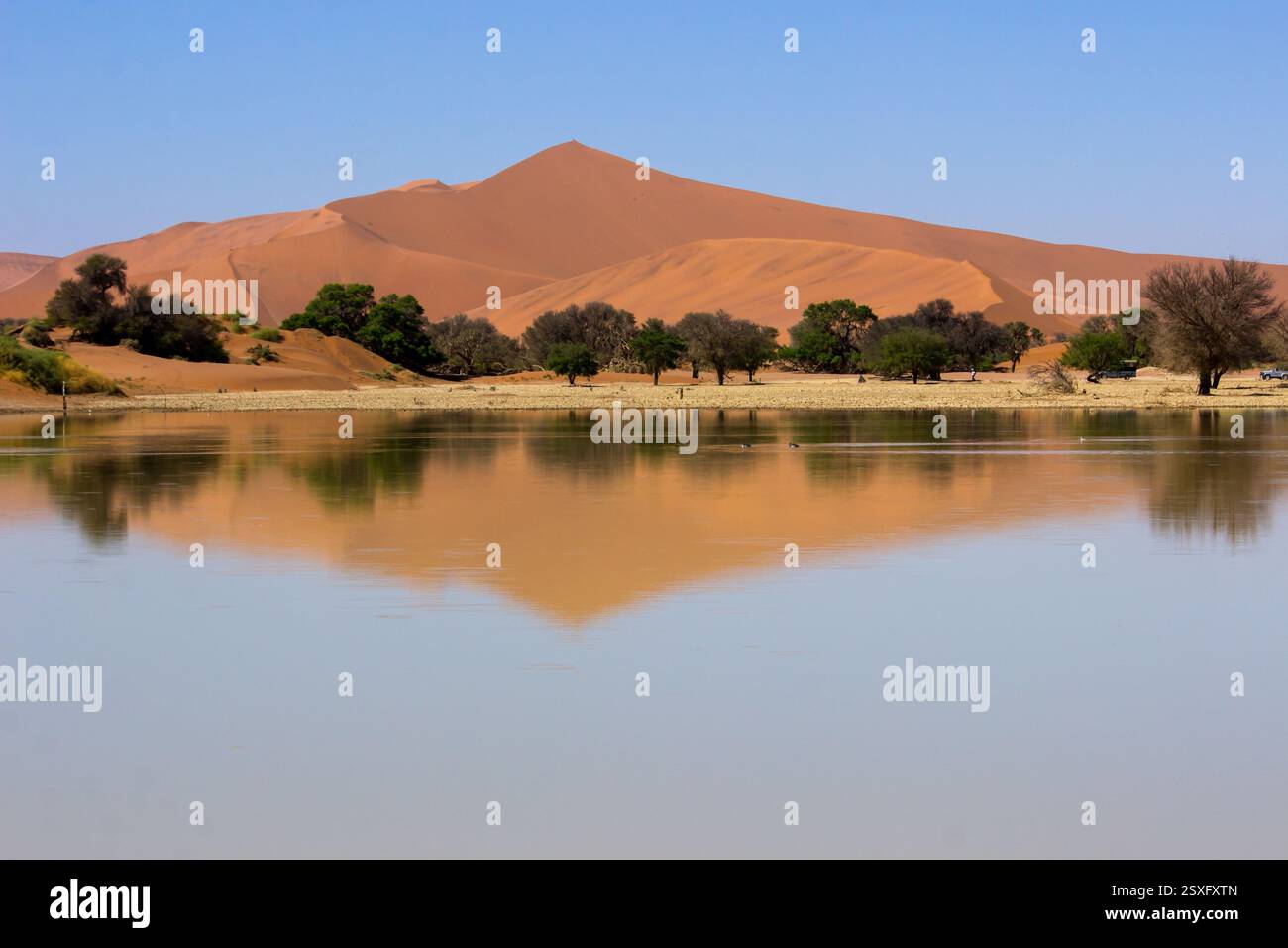 Water in the pan at Sossusvlei, after a rare very wet rainy season, in ...